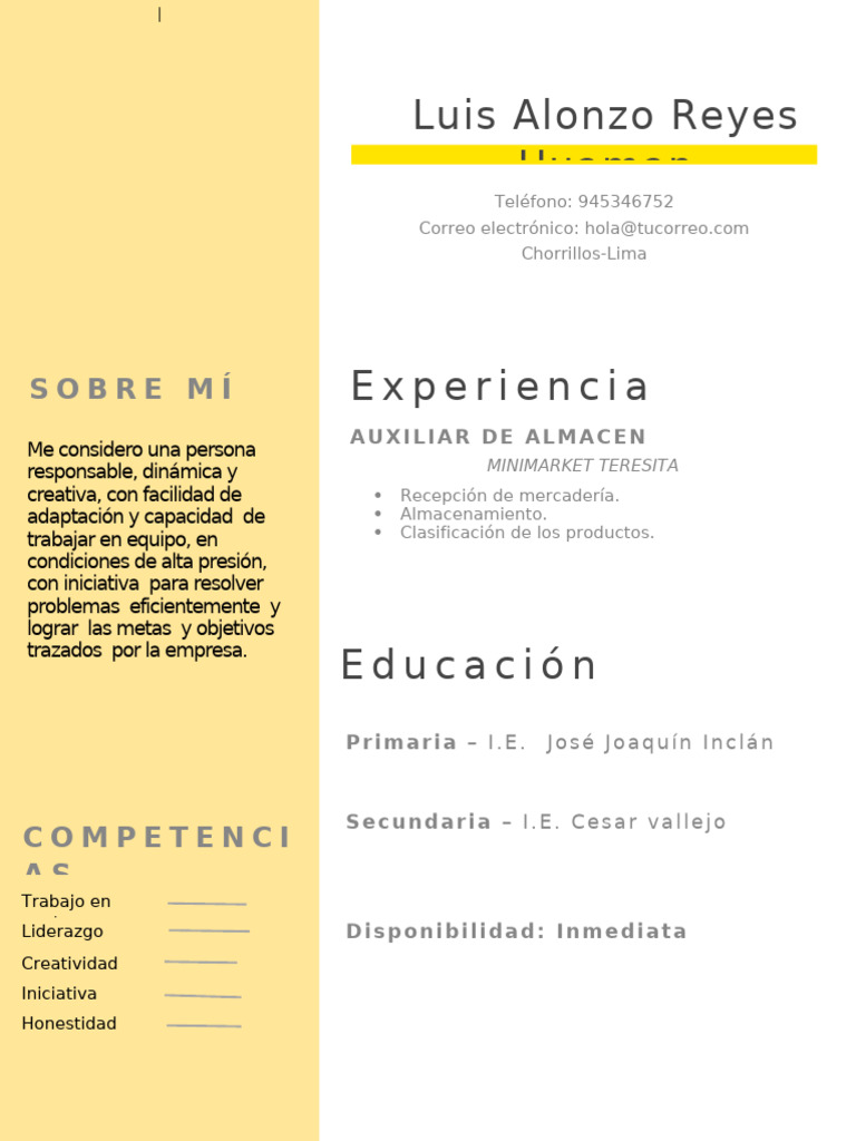 CV Luis Alonzo | PDF