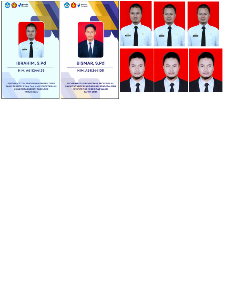 Id Card PPG | PDF