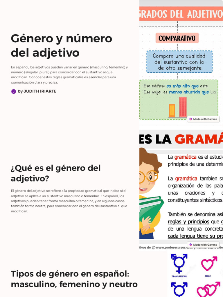 Genero y Numero Del Adjetivo | PDF
