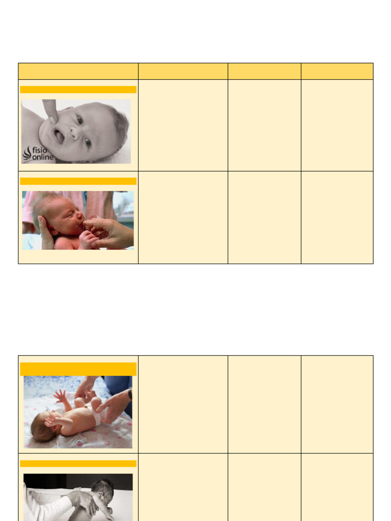 Reflejos Del Niño | PDF