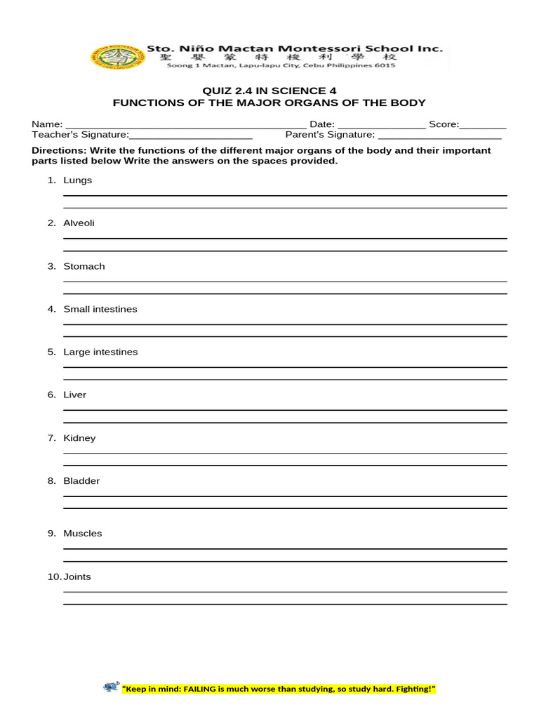 Quiz 2.4 in Science 4 Functions of The Major Organs of The Body | PDF