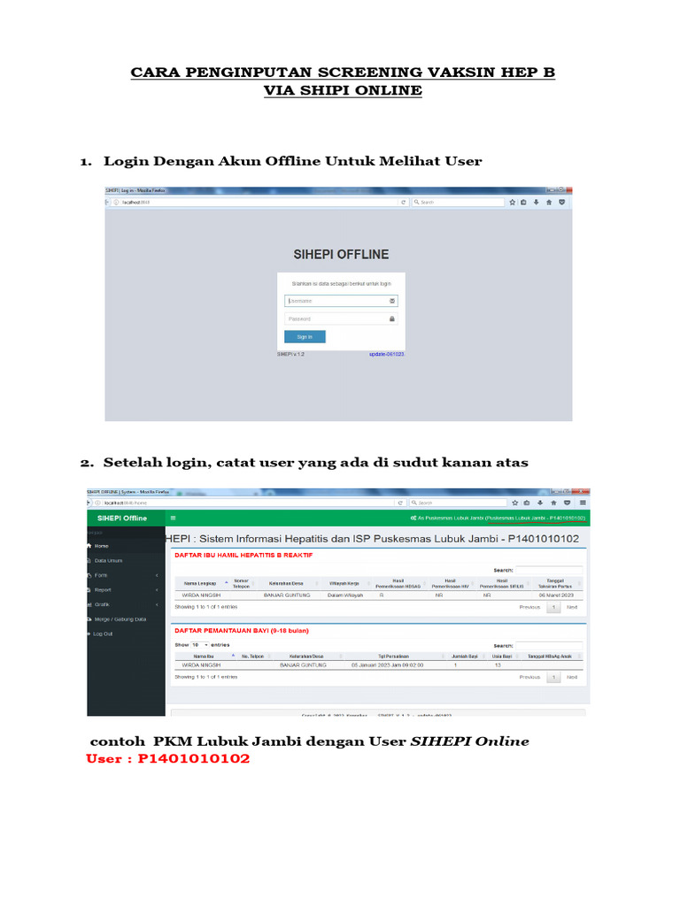 CARA PENGINPUTAN SCREENING VAKSIN HEP B NAKES Anisa | PDF