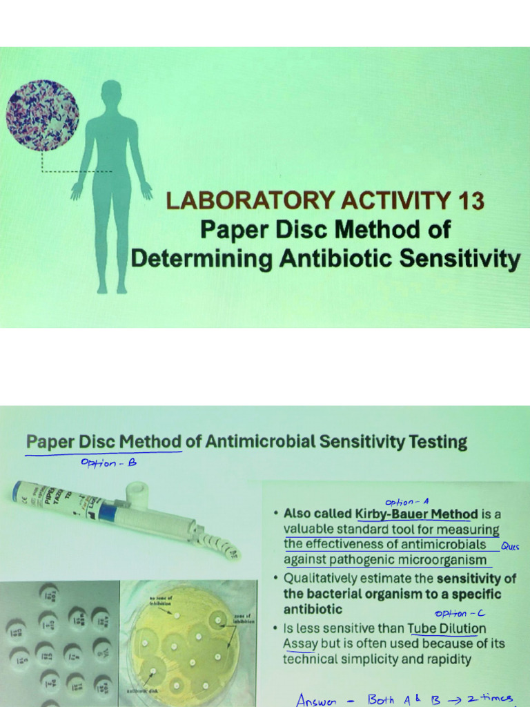 Paper Disc Method of Determining Antibiotic Sensitivity-1 | PDF ...