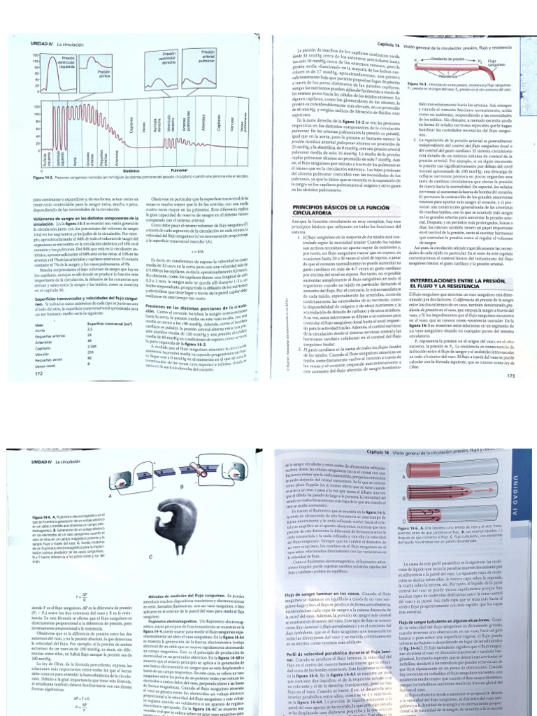 Cardíaco Guyton | PDF