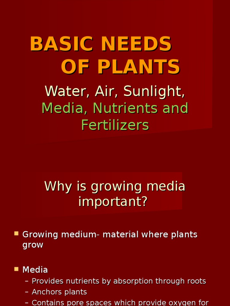 5-Basic Needs of Plants | PDF | Plant Nutrition | Hydroponics