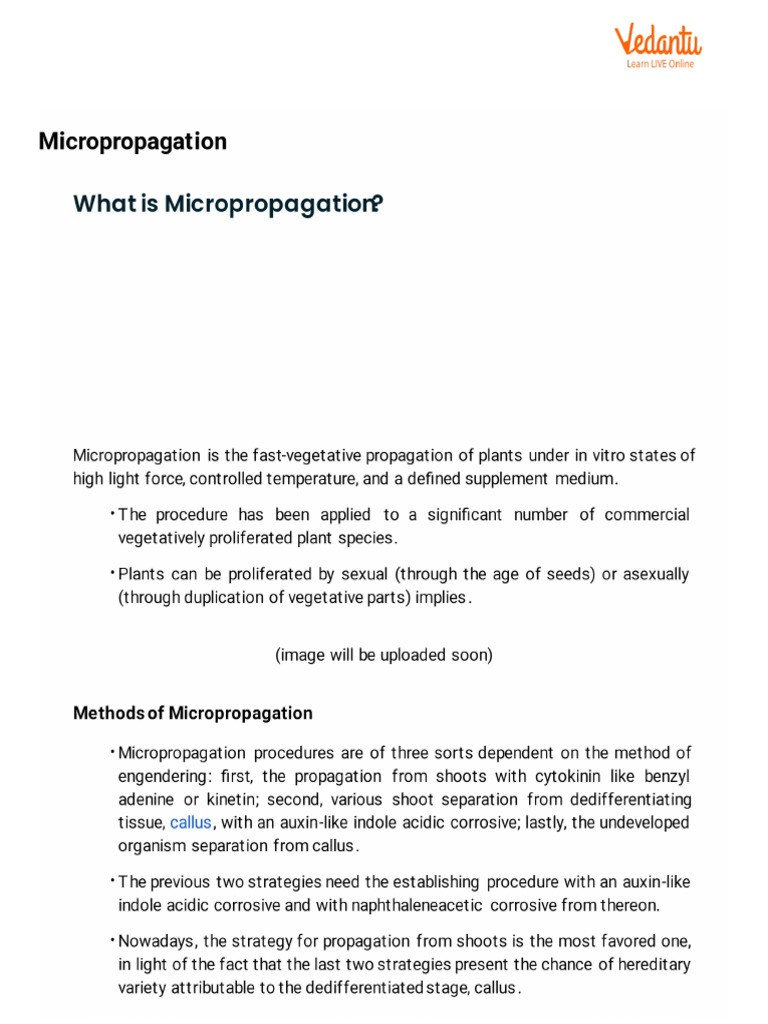 Micropropagation | PDF