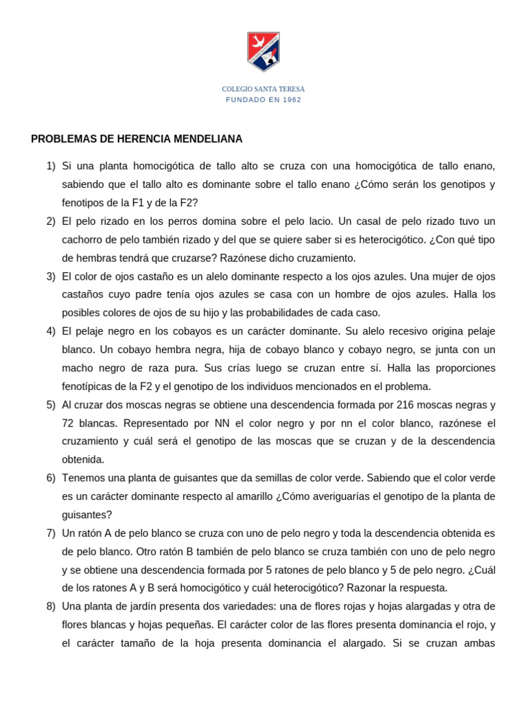 Actividades Herencia | PDF