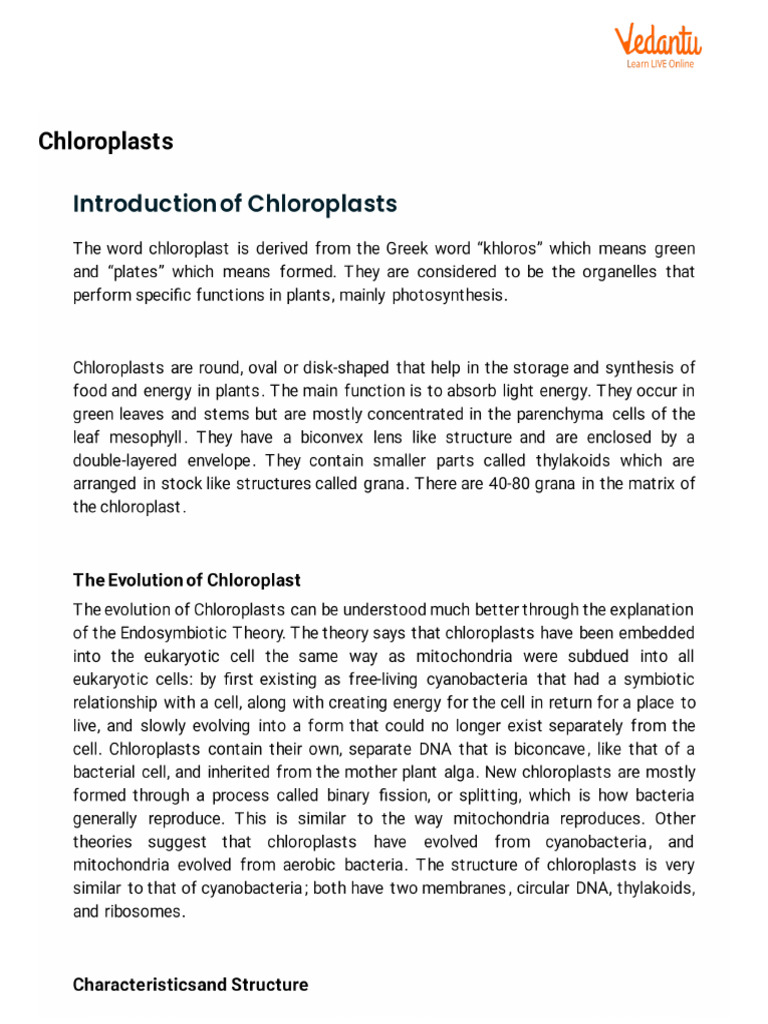 Chloroplasts | PDF