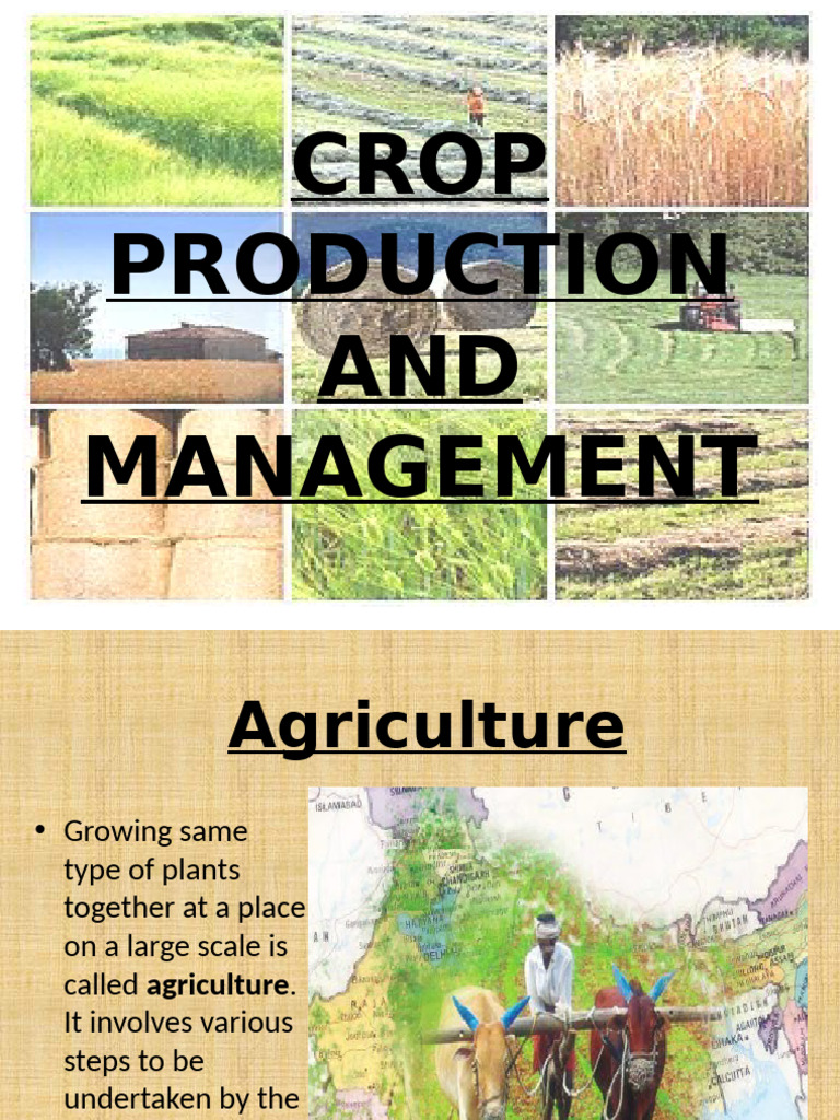Crop Production Cl VIII | PDF