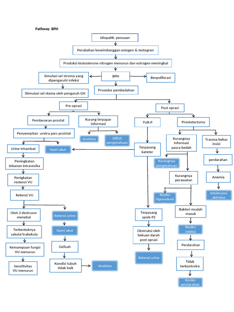 Pathway BPH.1716601654554 | PDF
