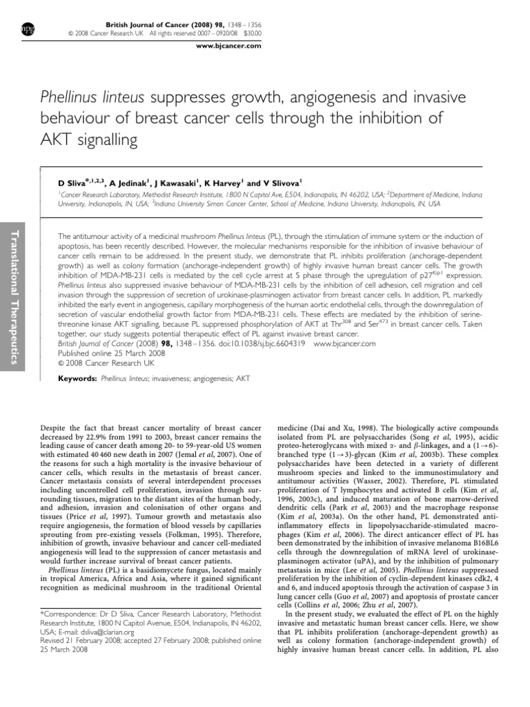 Phellinus Linteus | PDF