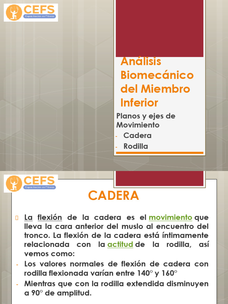 004a) Planos y Ejes Mi | PDF