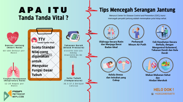 Vital Sign DR Fadel Aps | PDF