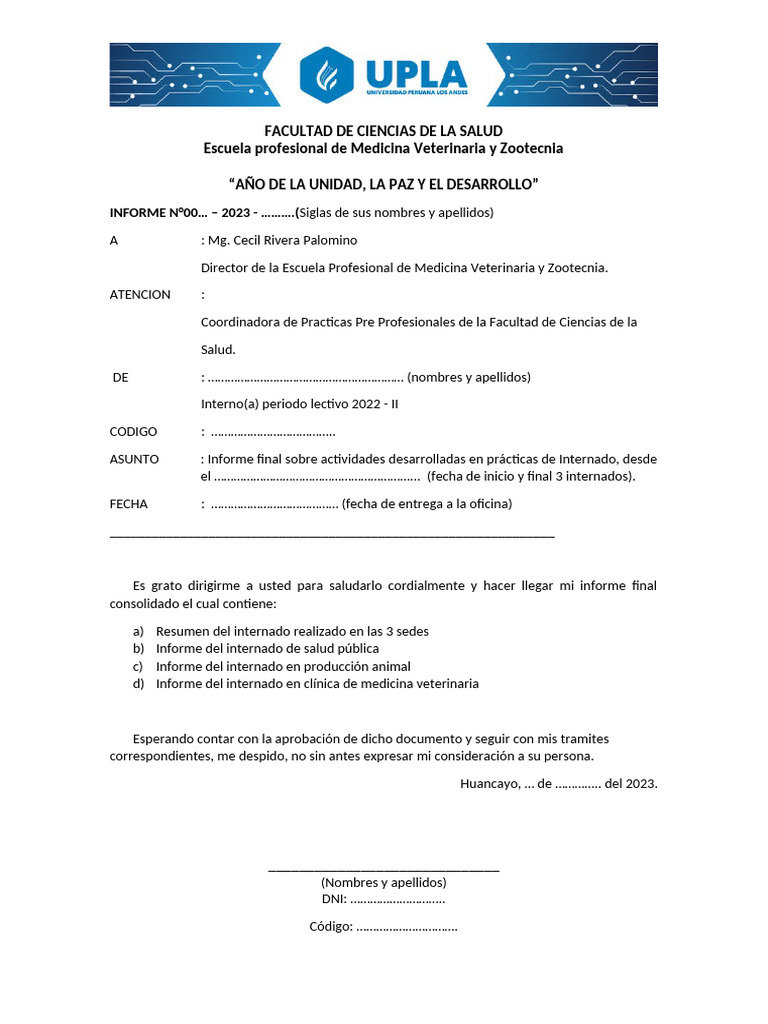 ESTRUCTURA INFORME FINAL | PDF