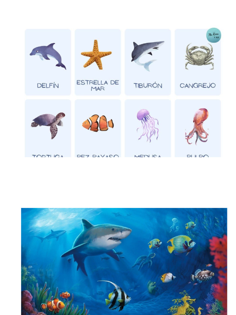 Animales Del Mar 2 | PDF