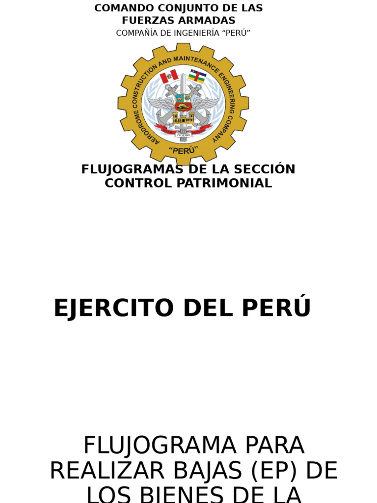 Flujograma Control Patrimonial | PDF