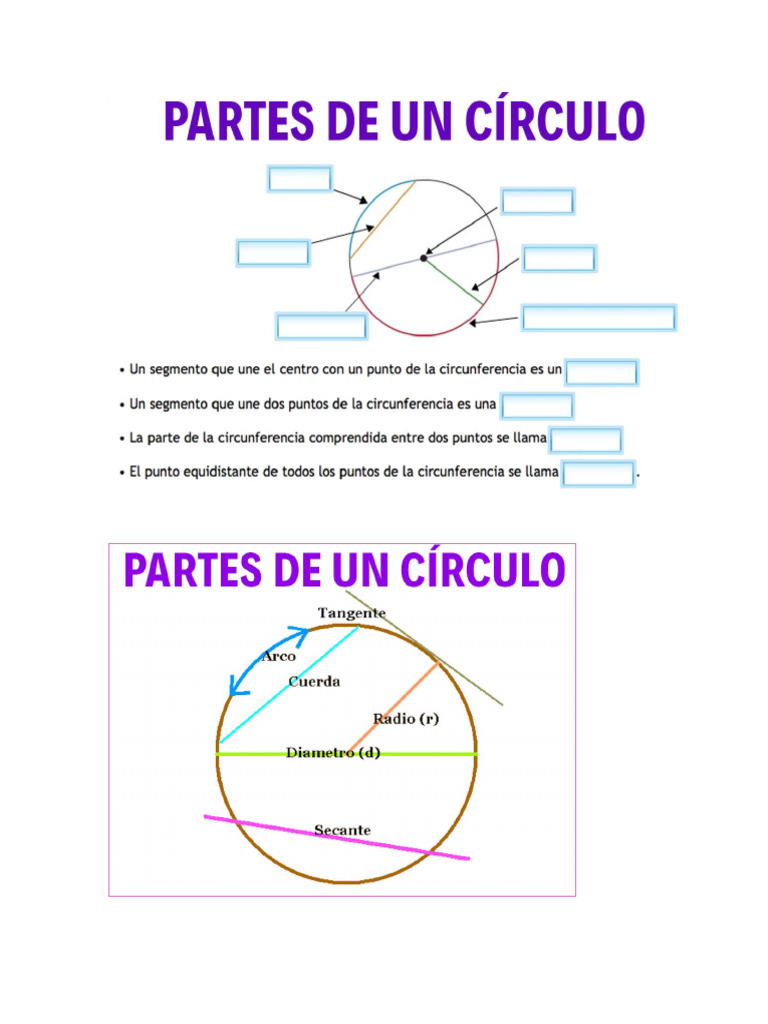 Cuáles Son Las Partes Del Círculo o Circunferencia | PDF