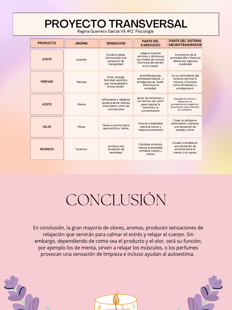 Proyecto Transversal | PDF