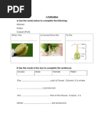 Digestive System Grade 5 Lesson Plan | PDF