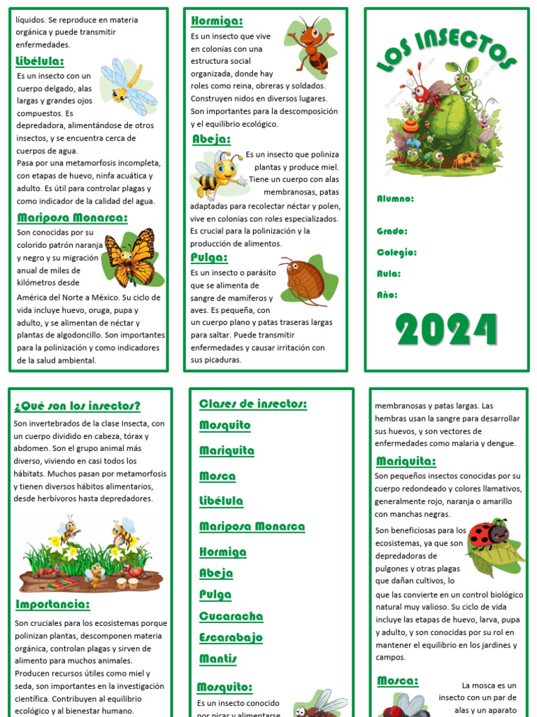 Triptico Insectos | PDF