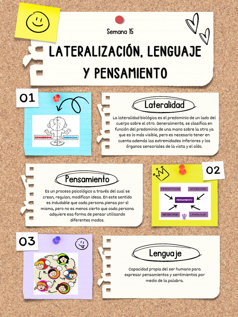 Infografía de La Lateralización, Lenguaje y Pensamiento | PDF