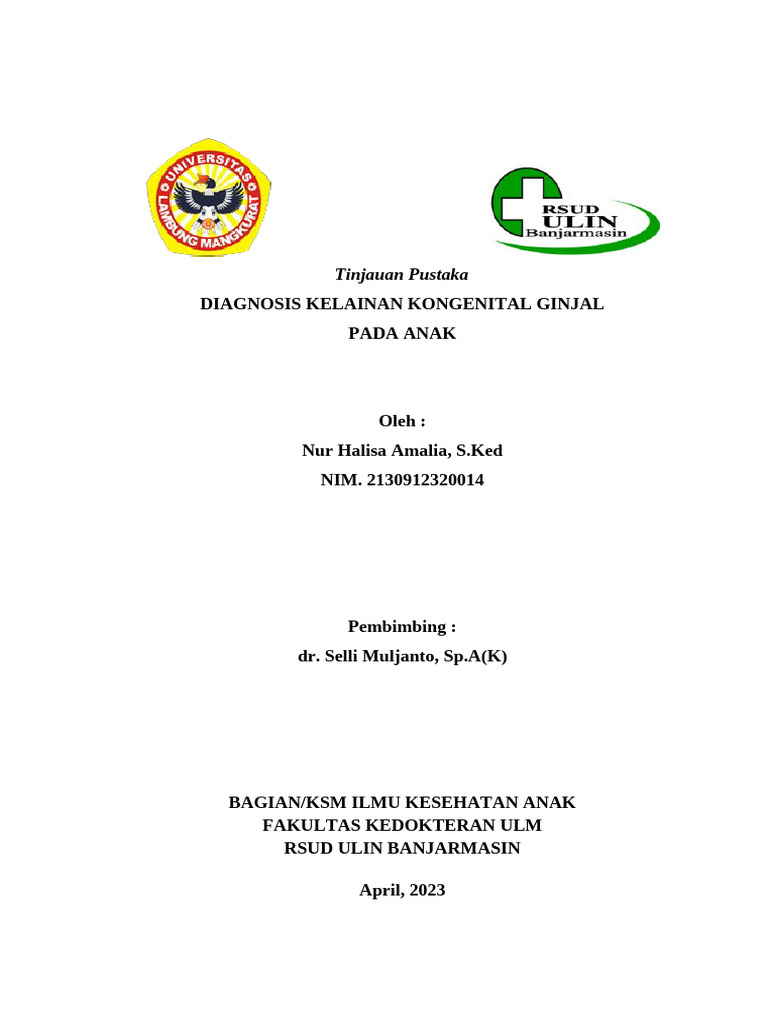 Tinjauan Pustaka DM Nur Halisa Amalia | PDF