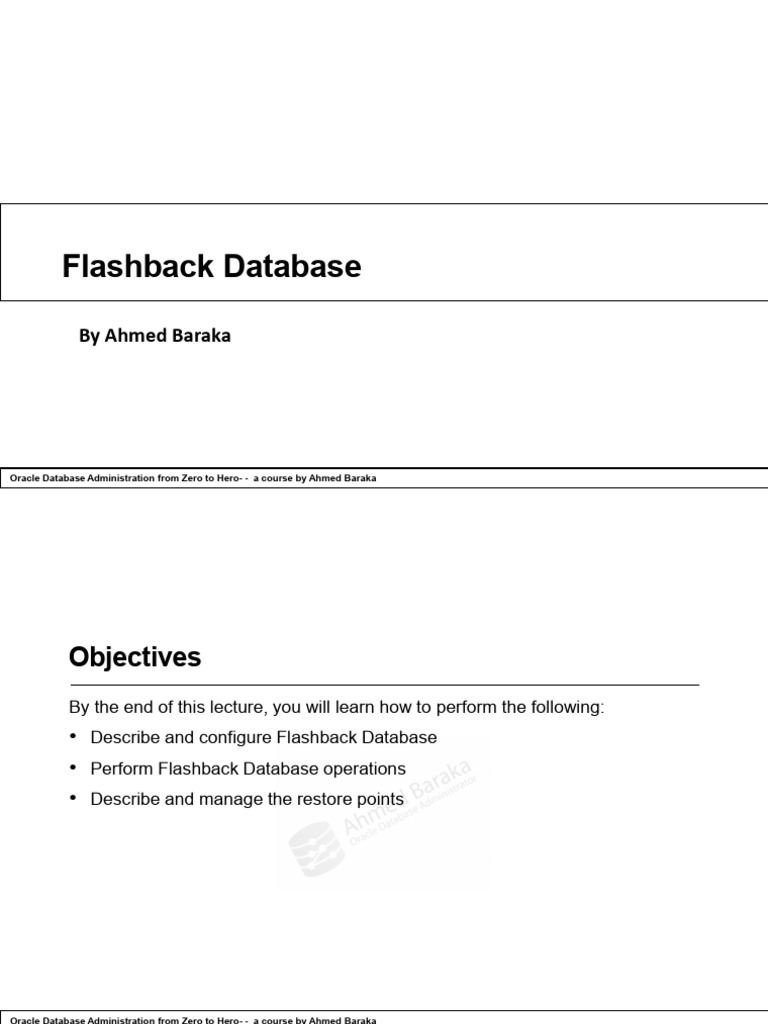 Flashback Database | PDF