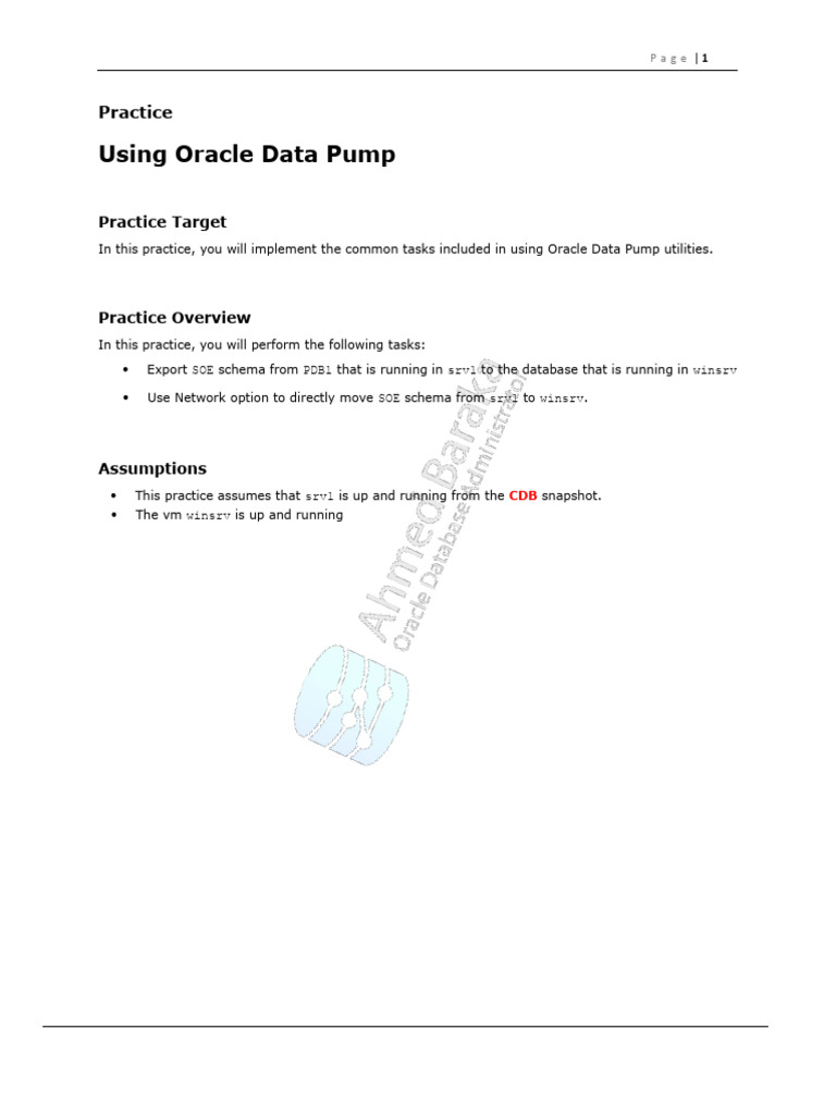 Practice - Using Oracle Data Pump | PDF