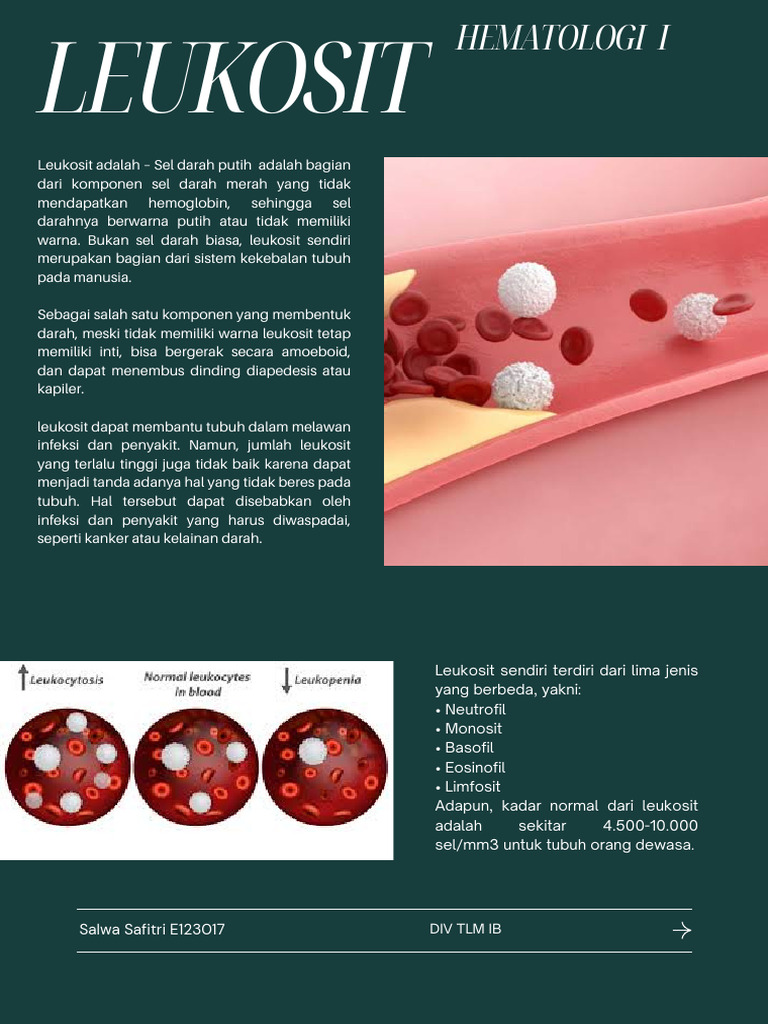 Poster Leukosit | PDF
