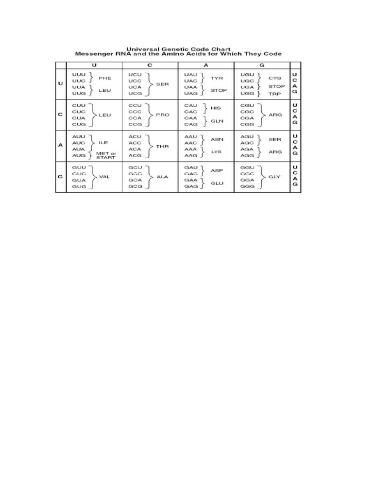 Codon Table | PDF