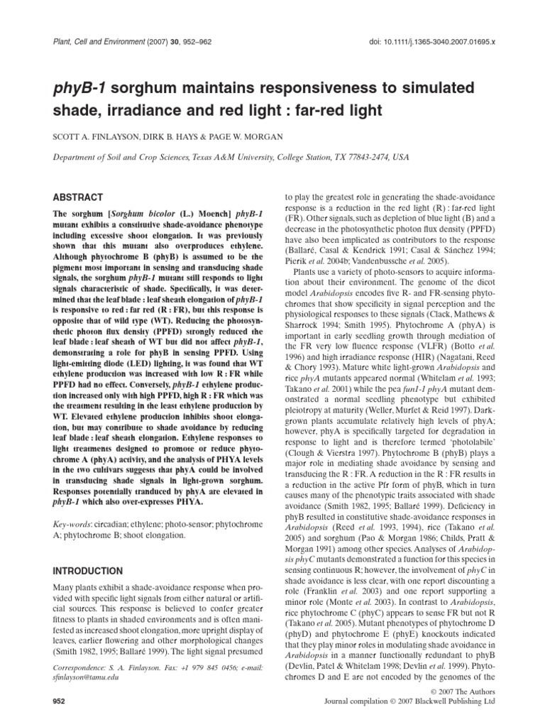 Plant Cell Environment - 2007 - FINLAYSON - Phyb 1 Sorghum Maintains ...