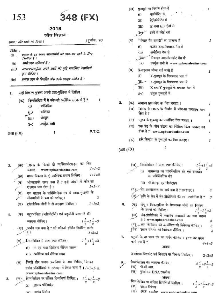 Up Board Class 12 Biology 348 FX 2019 | PDF