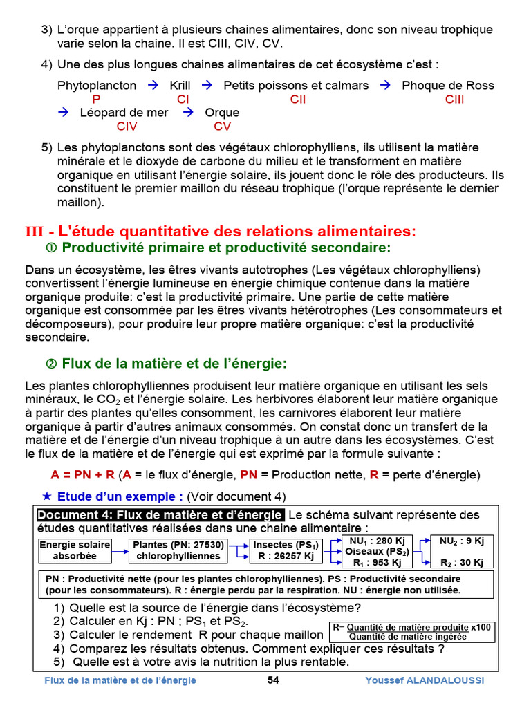Flux de La Matière Et L'énergie - TC | PDF