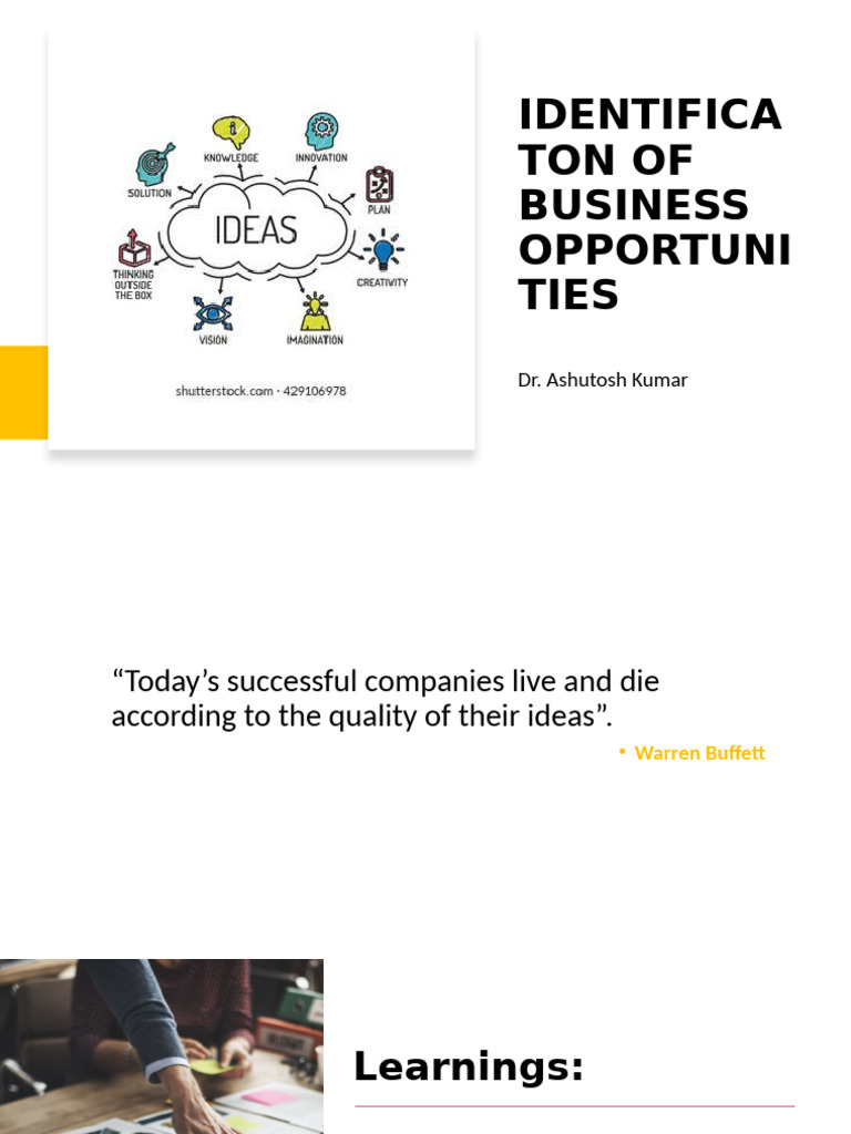 Identification of Business Opportunities | PDF