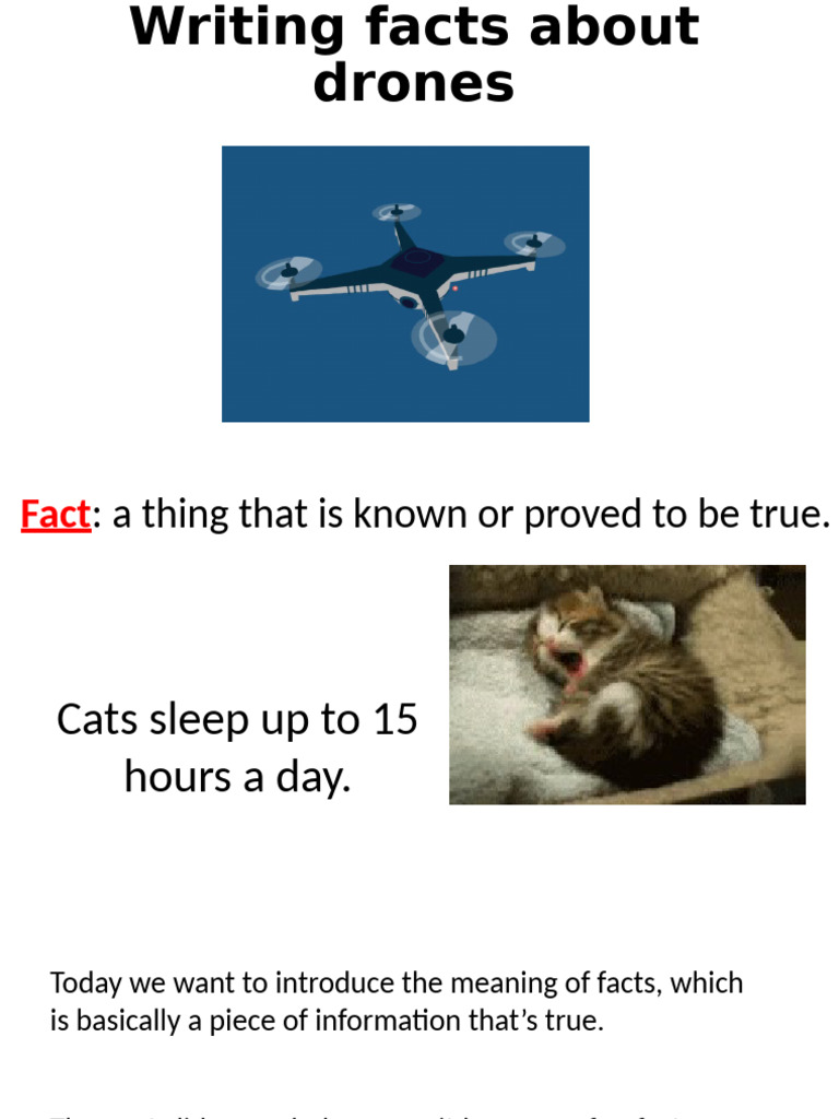 Writing facts about drones | PDF