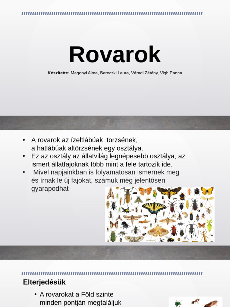 Rovarok ppt | PDF