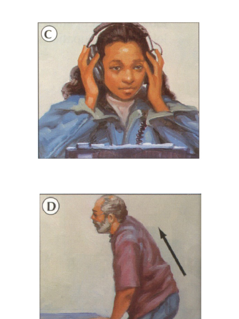 Lesson 1 Visuals Pdf