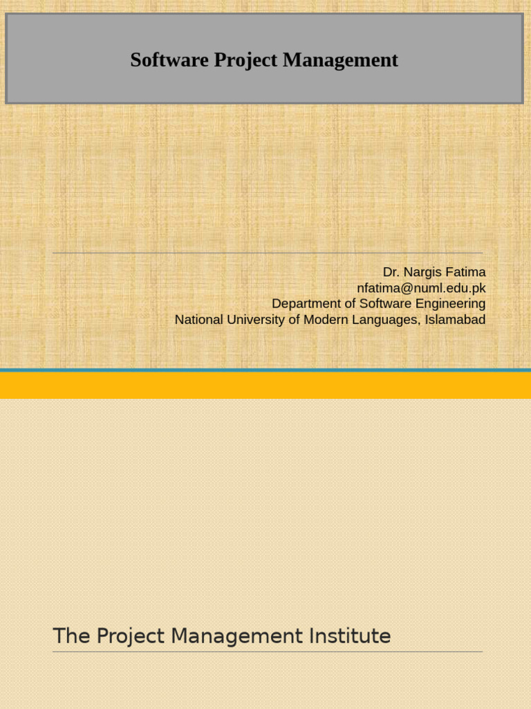 Lecture 10-12-PMI, Process Group | PDF