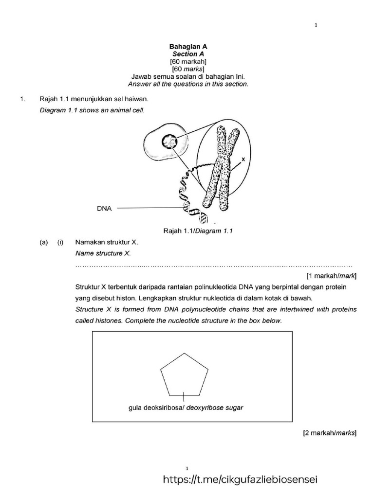 revision trial bio | PDF
