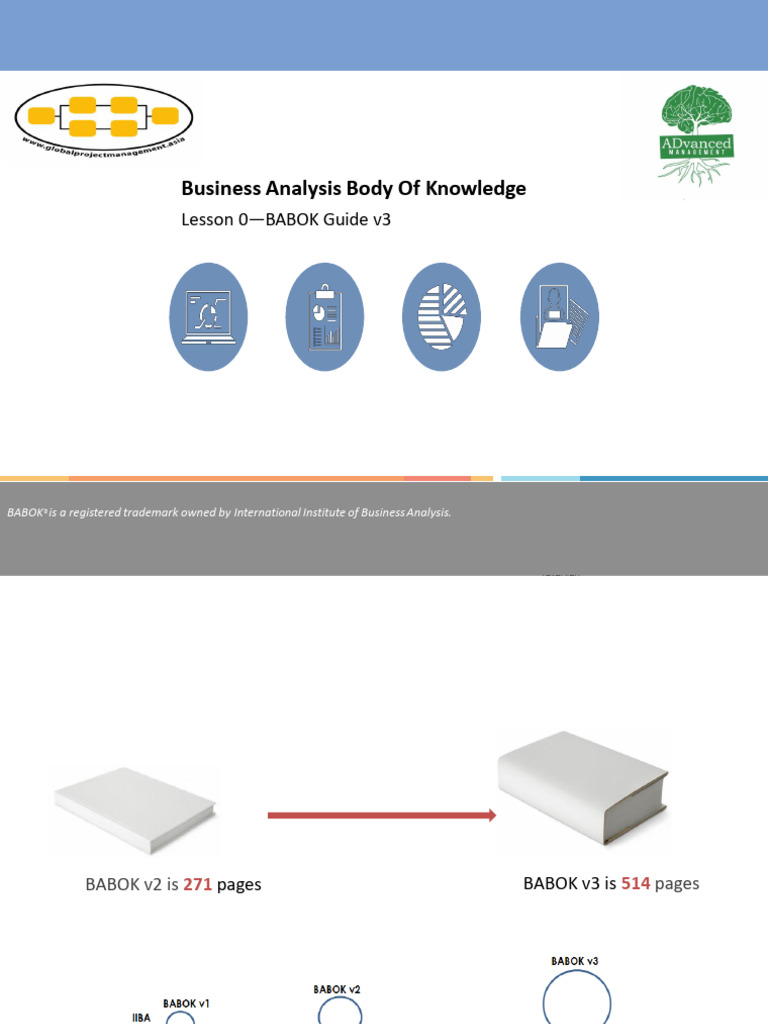 Babok Review l0 Upd v1.0 | PDF
