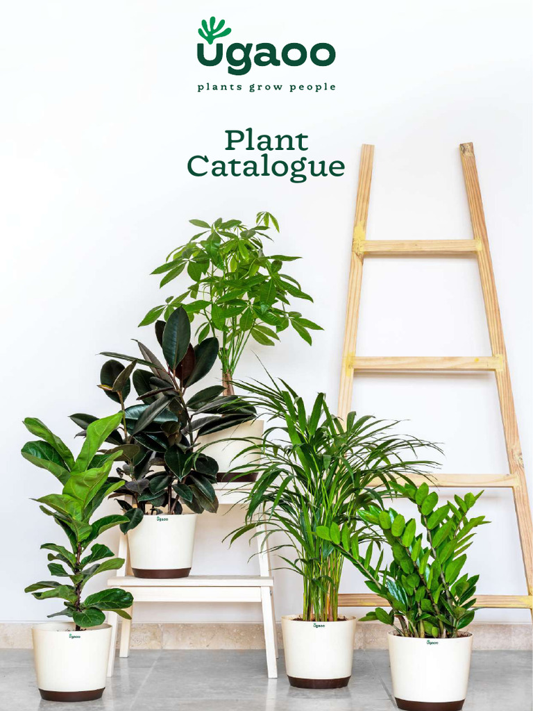 Plants Catalog | PDF