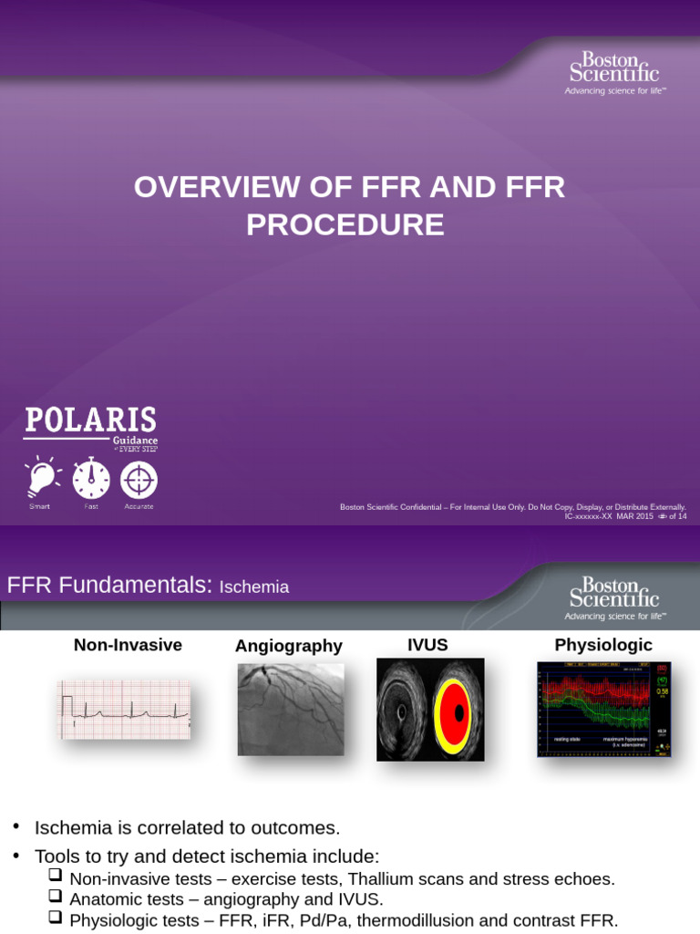 AMEA Training FFR Overview and Case Example | PDF