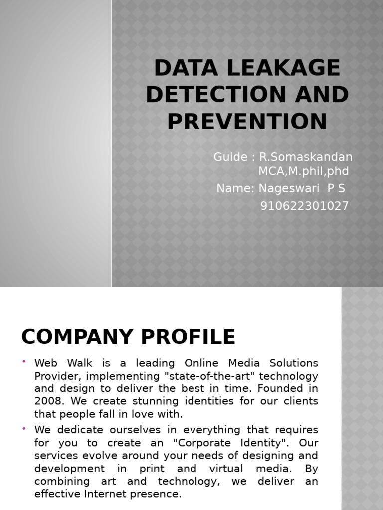 Data Leakage 1 | PDF