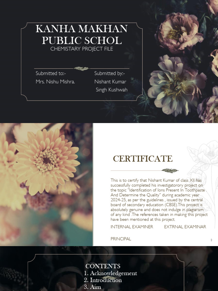 Kanha Makhan Public Schol | PDF