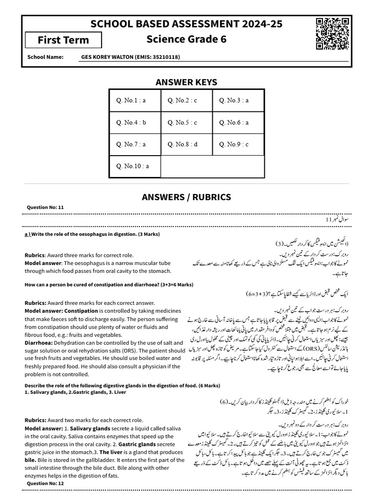 6 Sci Key - PEC IBS 2025 | PDF