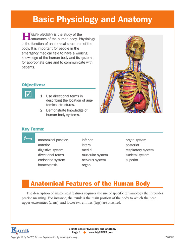 Basic Physiology and Anatomy | PDF