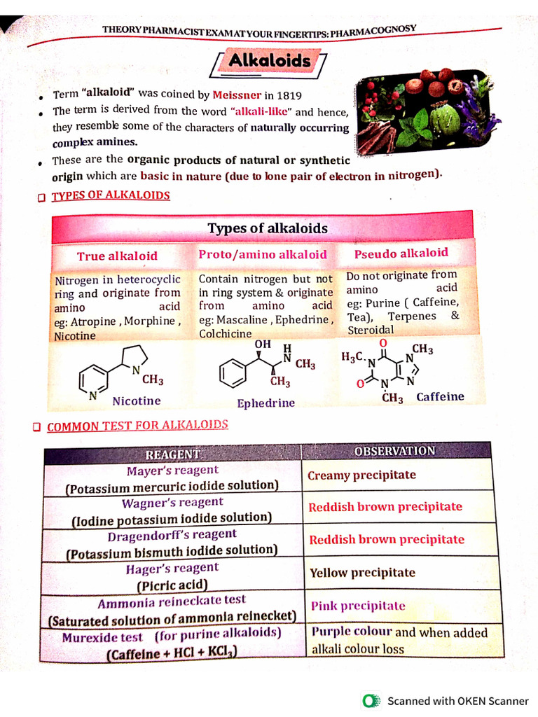 Alkaloids and Chemical Test | PDF
