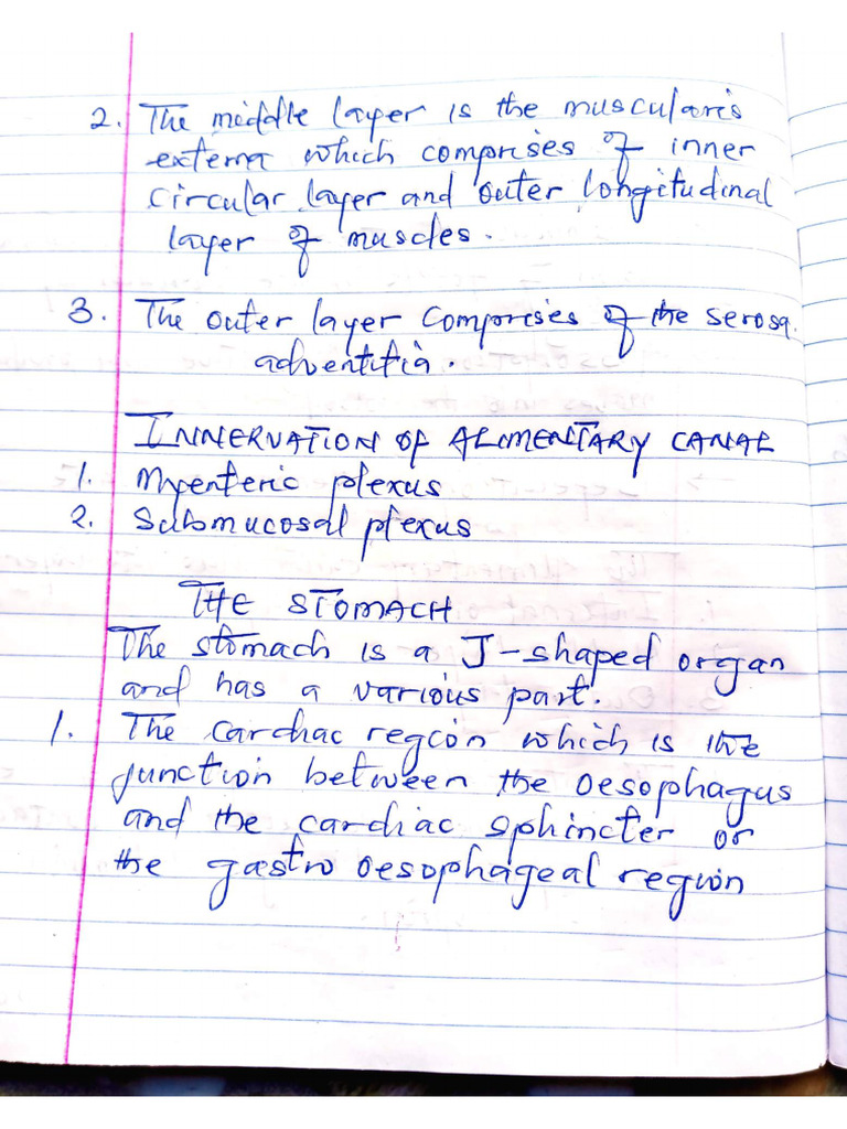 The Abdomen Continuation | PDF