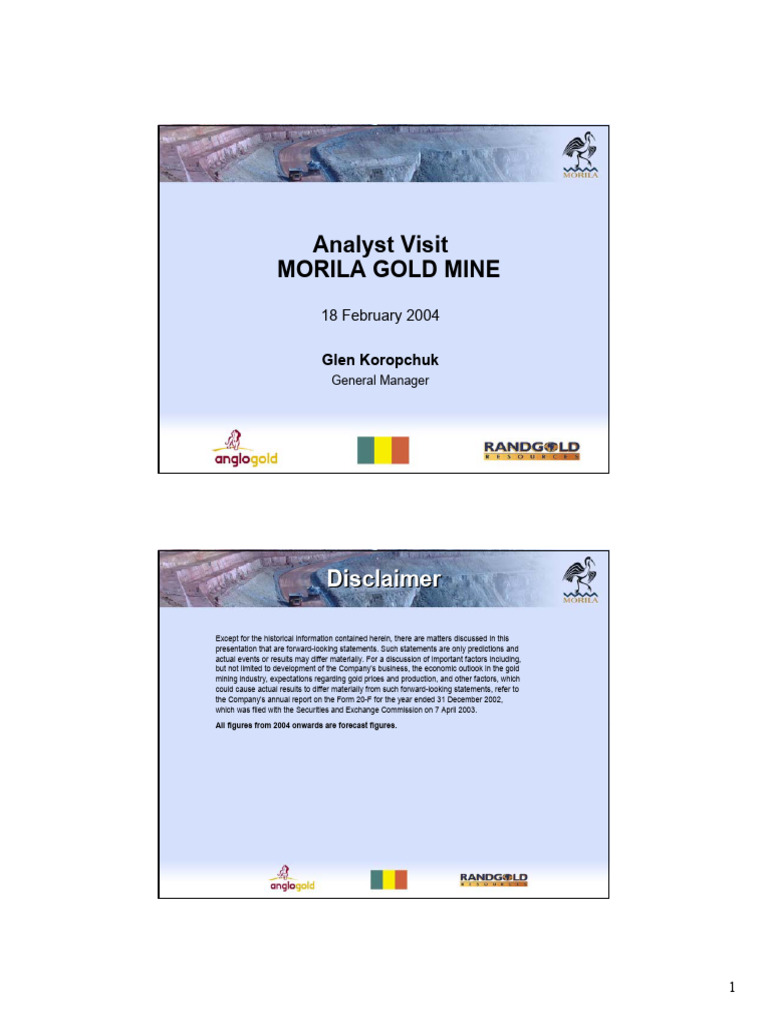 MORILA17 Feb 04 | PDF