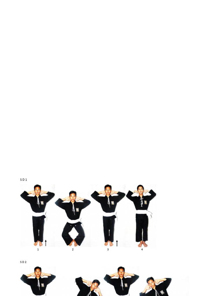 PSHT - Senam Dasar & Jurus Dasar | PDF